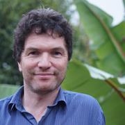 David O'Sullivan | Teaching & supervision | University of Auckland