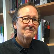 Mark Mullins | About | University of Auckland