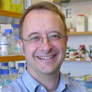 Shaun Lott | About | University of Auckland